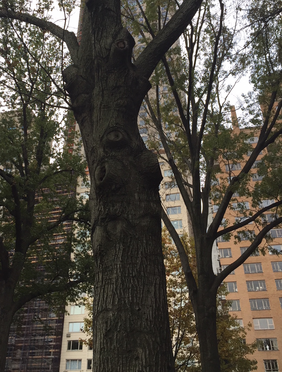 dispatch from the greatest city in the world – collecting tokens